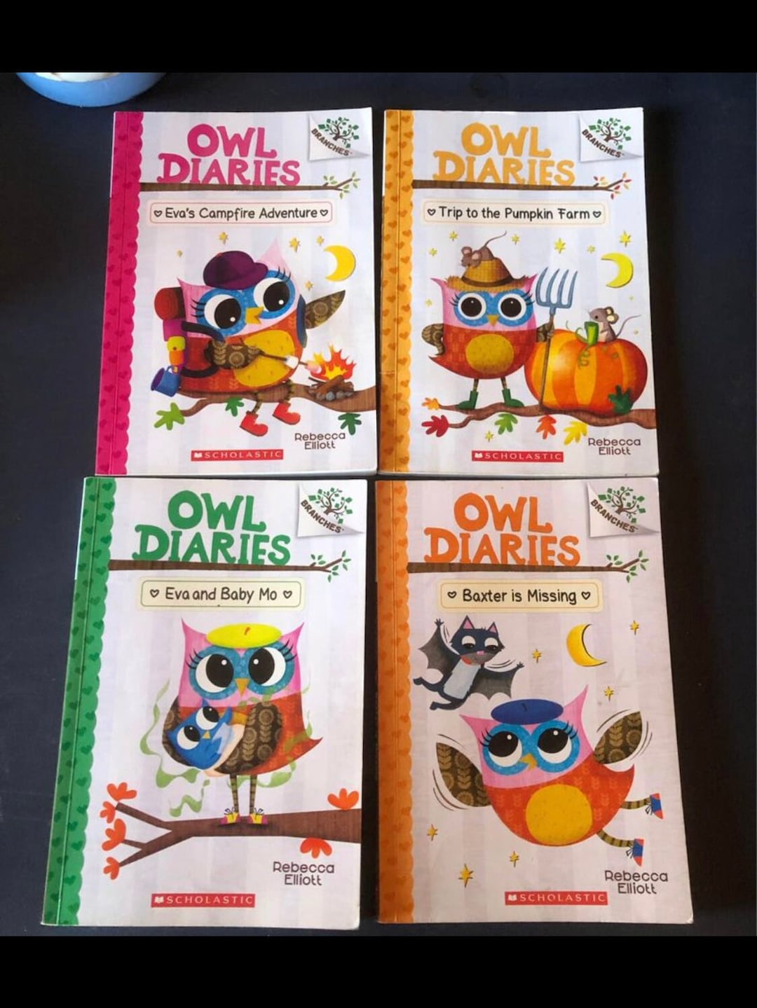 Owl Diary Books Set of 4 - Etsy