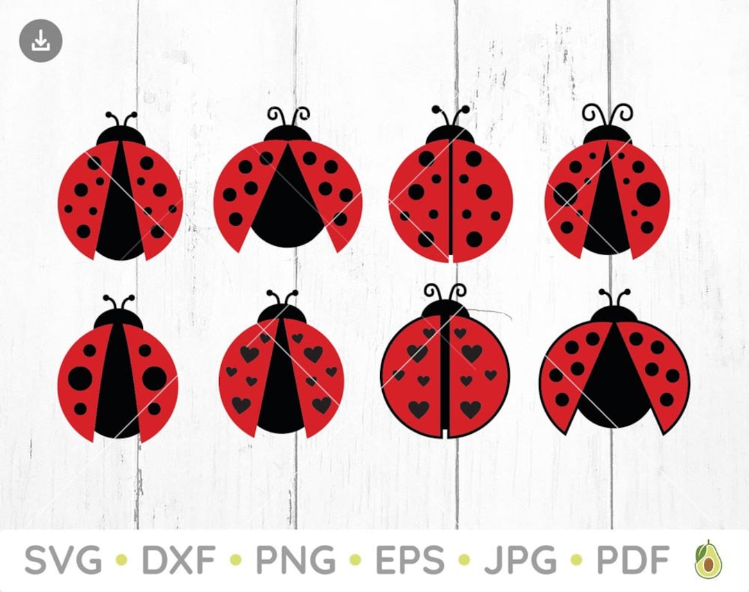 Ladybug SVG, Ladybug Bundle Svg, Insect Svg, Bug Svg Summer Svg, Spring ...