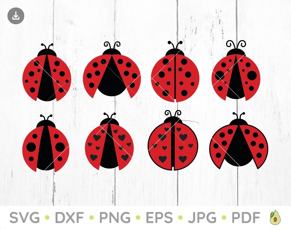 Ladybug SVG Ladybug Bundle Svg Insect Svg Bug Svg Summer - Etsy