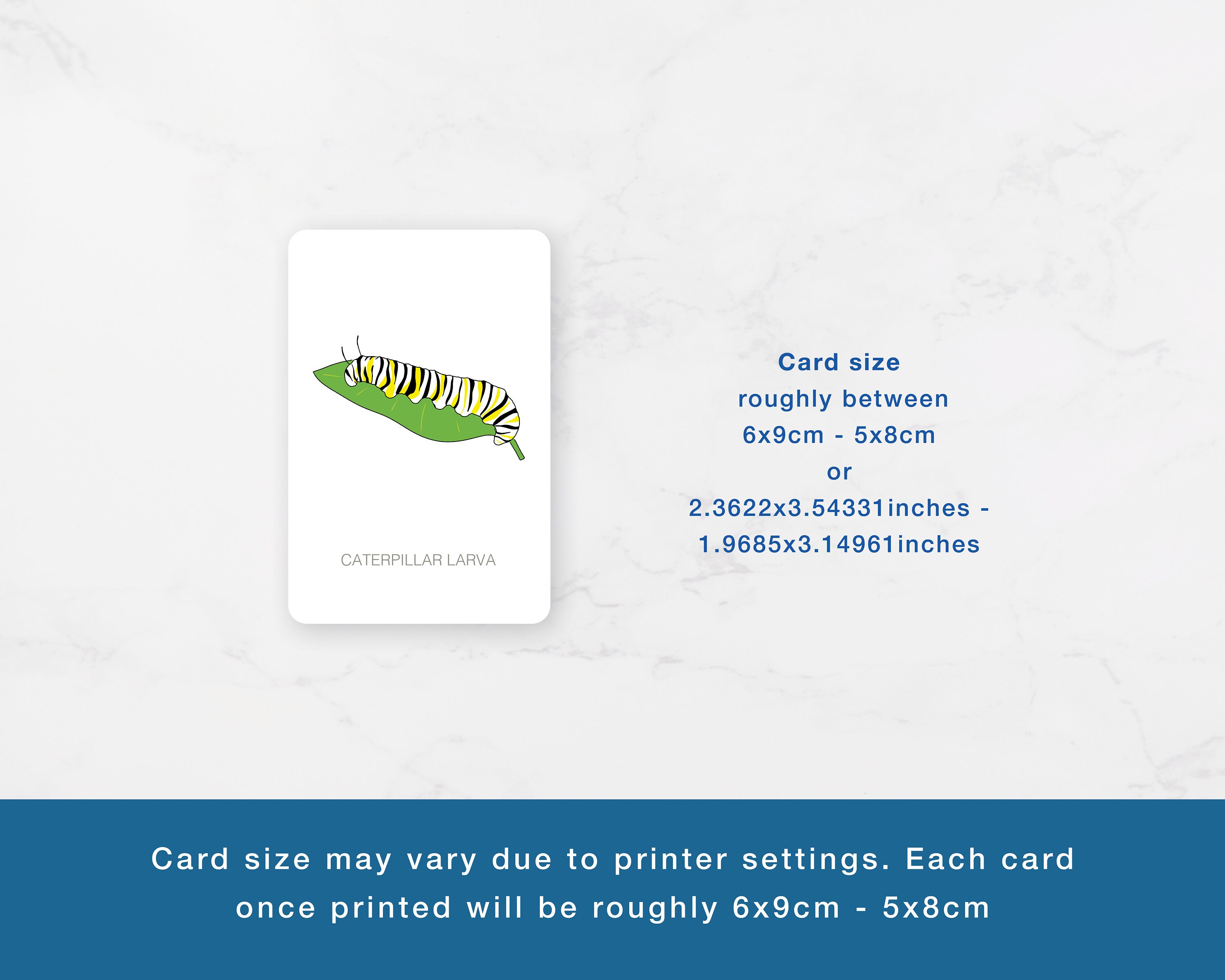 Life Cycle of a Butterfly Flash Cards Digital Download, Instant Print ...