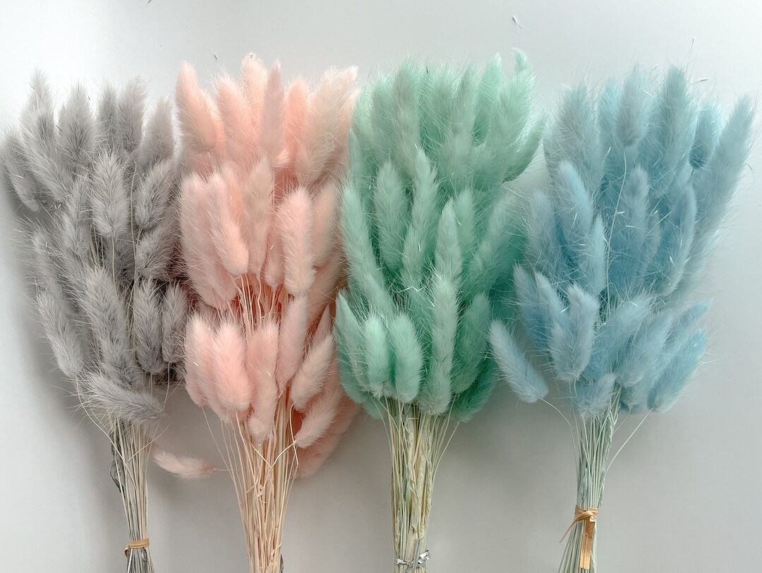 50 Piece Bunny Tails Minimalistic Style Beautiful Elegant - Etsy