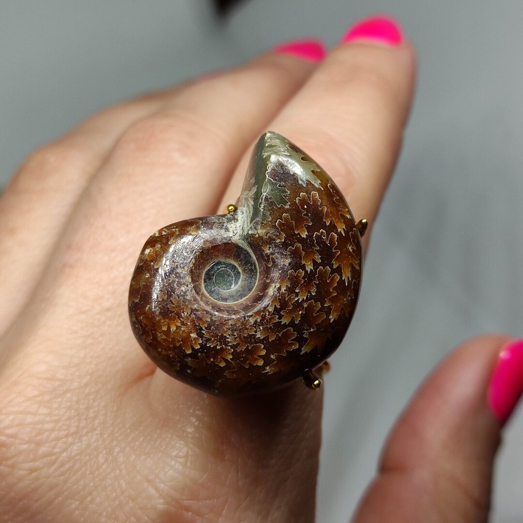 Ammonite Fossil Ring,large Cocktail Ring, Fossil Ring,rock Ring,large ...