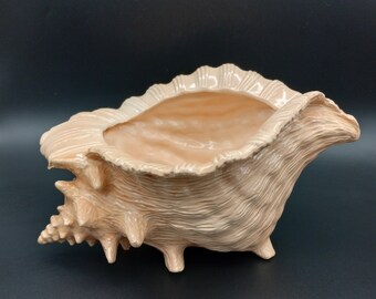 Hand Painted Conch Shell - Etsy