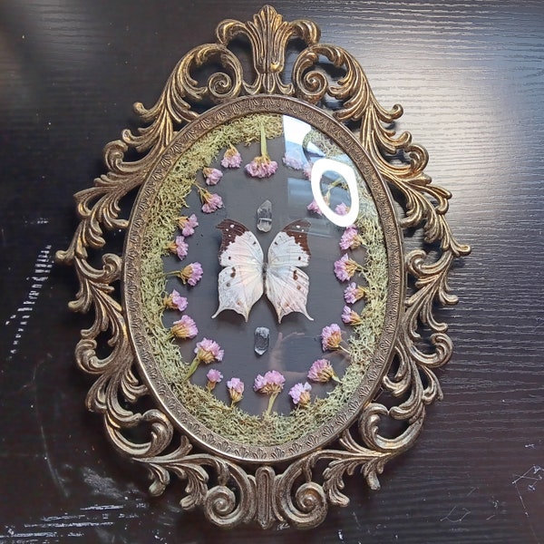 Convex Glass Frame - Etsy