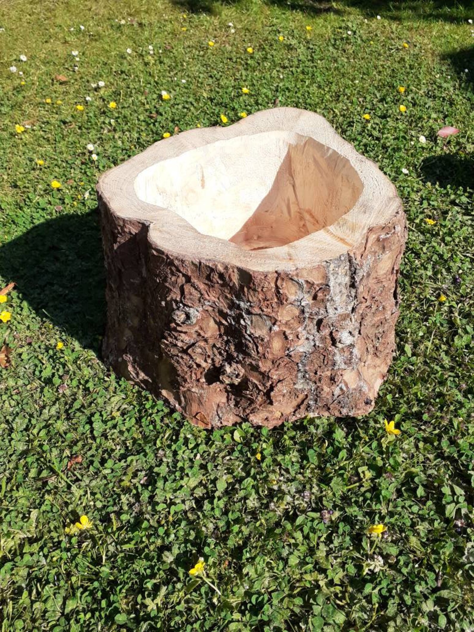 LARGE Handcrafted Rustic Wooden Log Planter Alpine Garden | Etsy