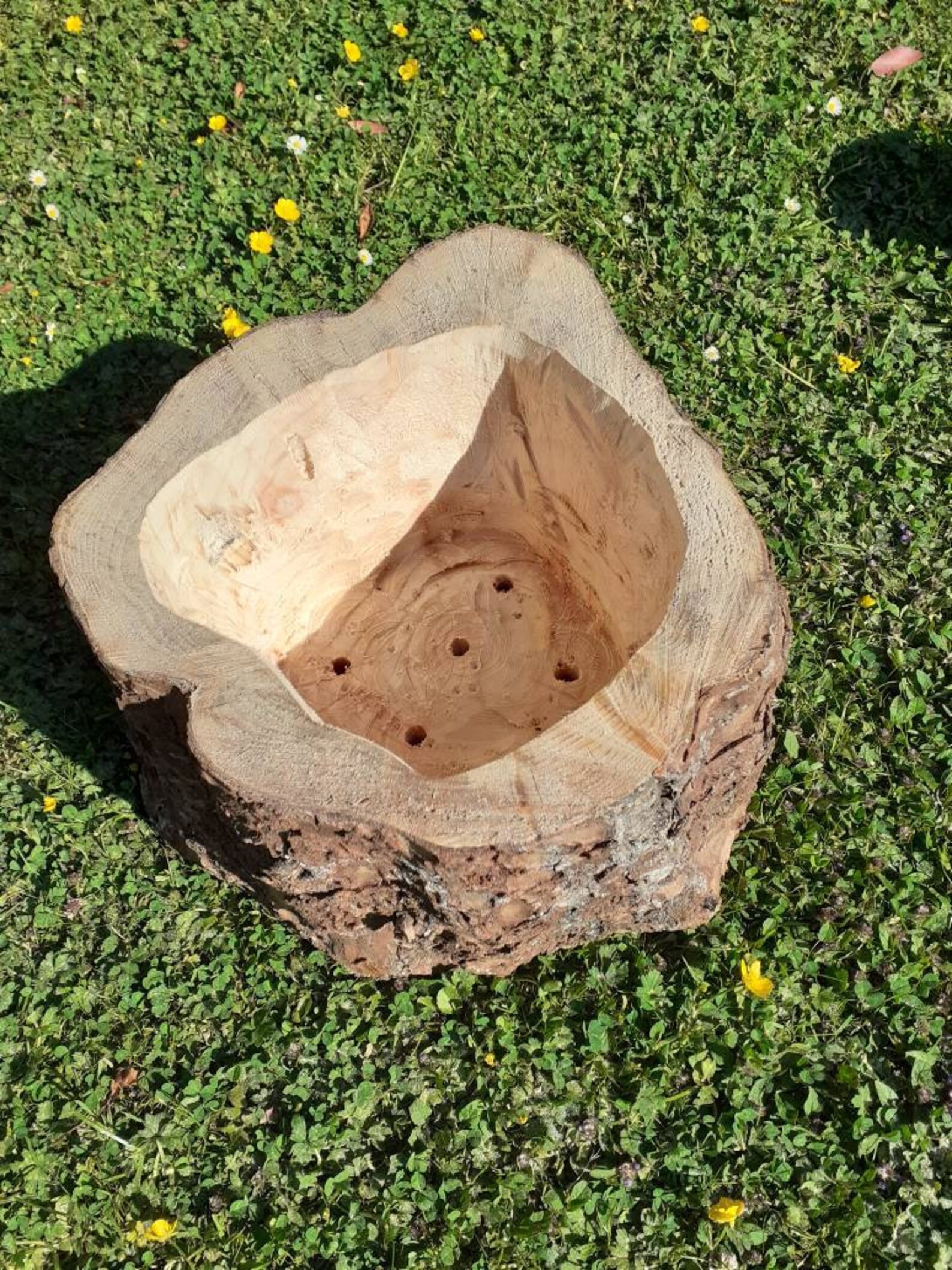 LARGE Handcrafted Rustic Wooden Log Planter Alpine Garden | Etsy