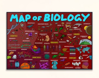 Biology Poster - Etsy