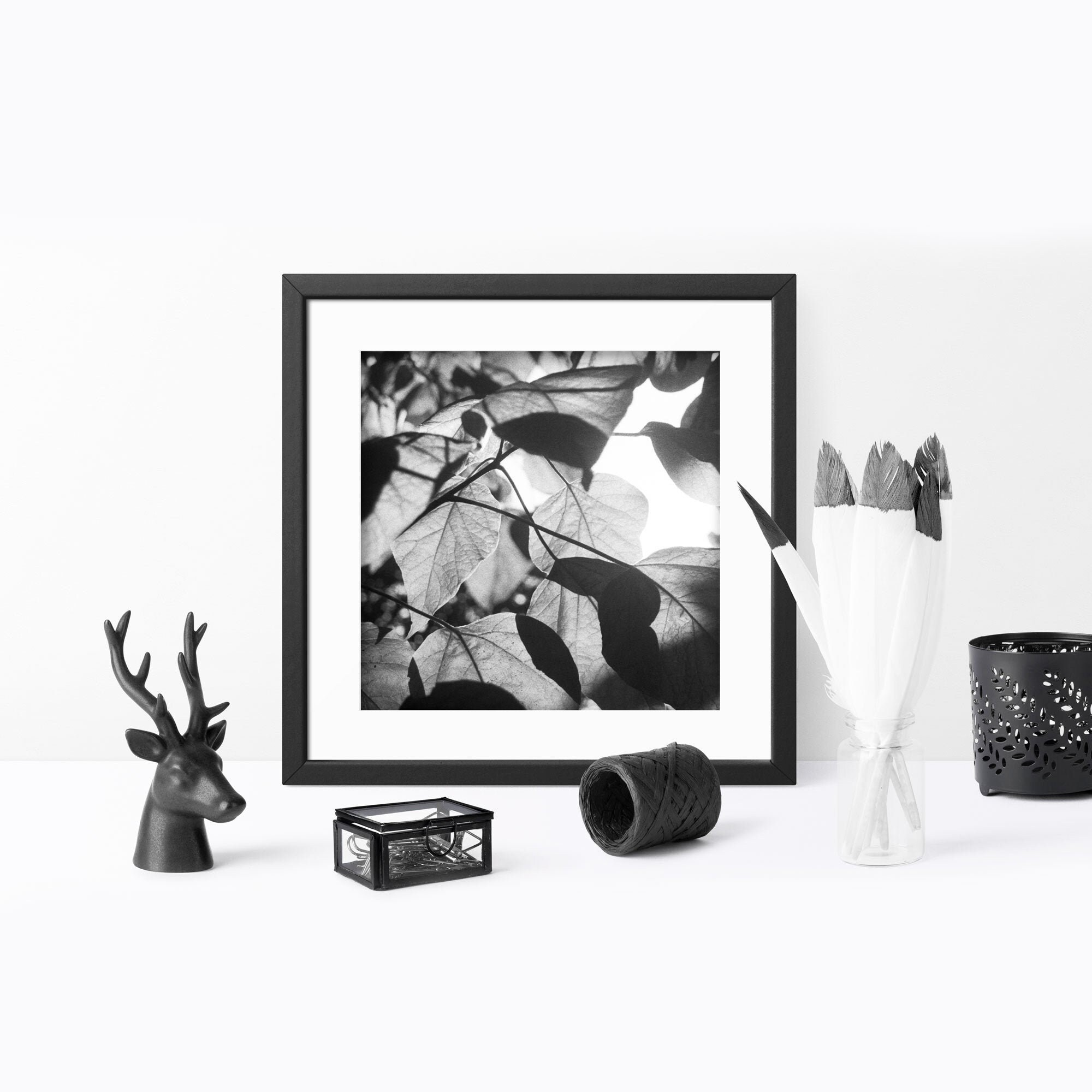 Printable Black & White Leaves Wall Art, Botanical Photography, Modern ...