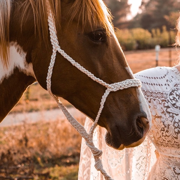 Rope Halter - Etsy
