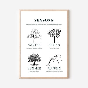 Seasons of the Year SVG/PNG/PDF. Montessori Nursery. Educational Wall ...