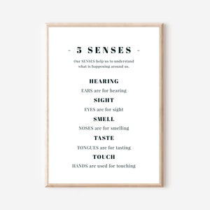 5 Senses SVG/PNG/PDF. Montessori Nursery. Educational Wall Art ...