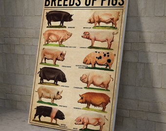 Types of Pig Poster - Etsy