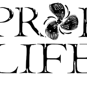 Boat Life, Prop Life, Pirate Life, Life is Better on the Boat Bundle of ...