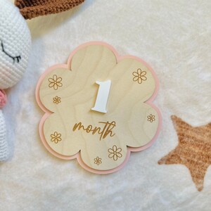 Daisy Baby Milestone Disc, Wooden Reversible Milestone Cards - Etsy