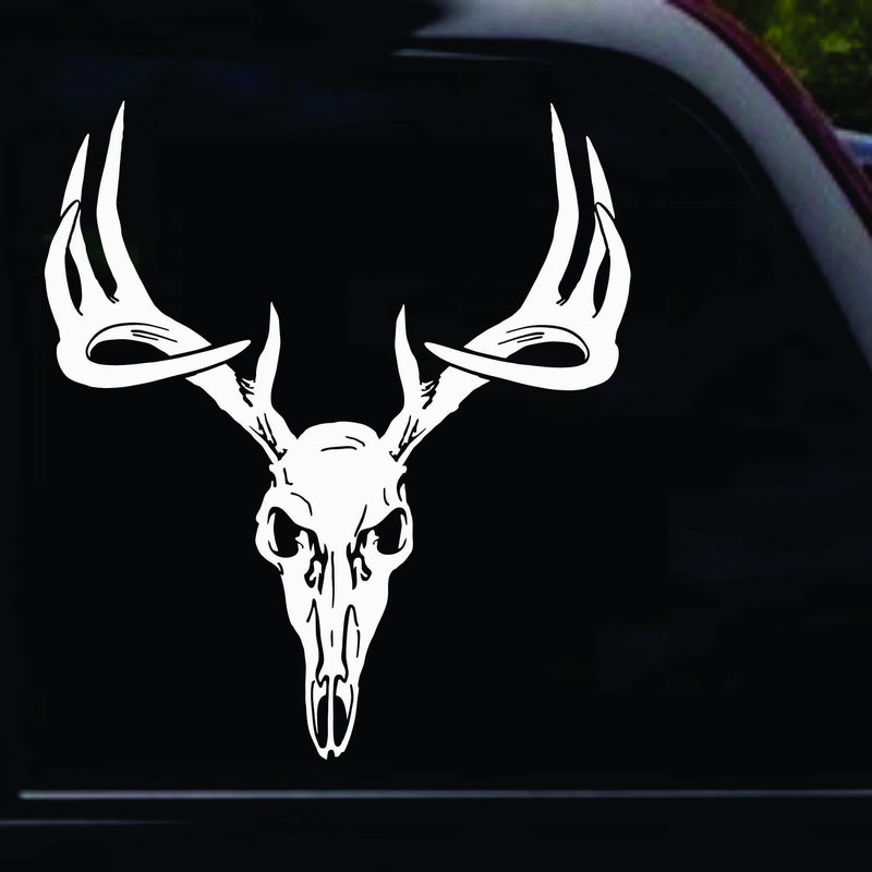 Large Skull Vinyl Graphics - Etsy