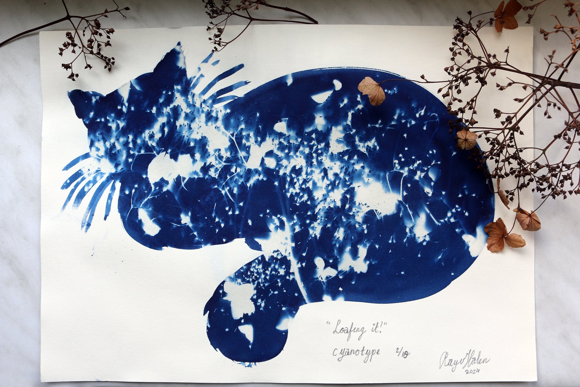 Cat Loaf Cyanotype Flowers Print - Etsy