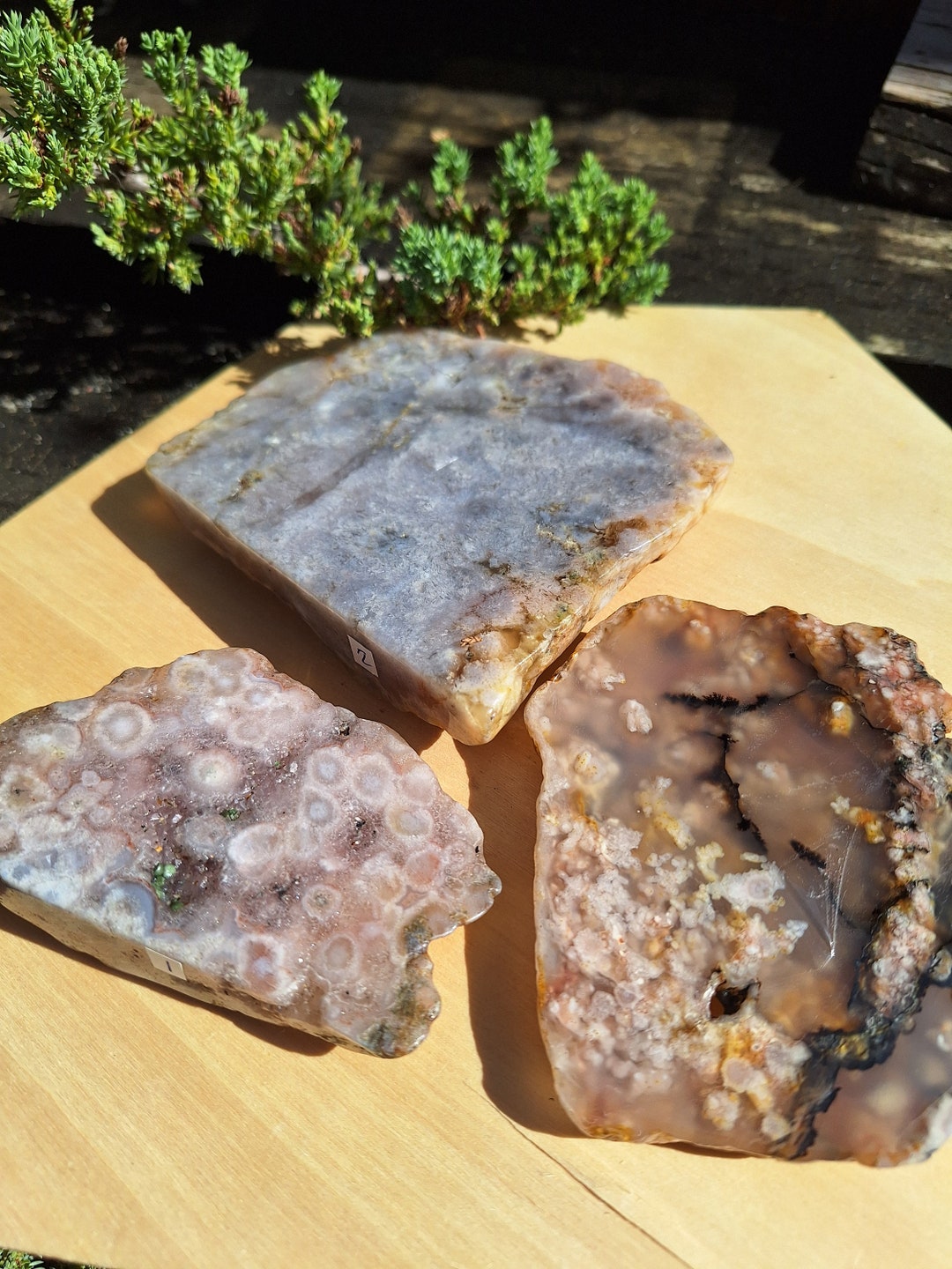 Flower Agate Crystal Slabs - Etsy