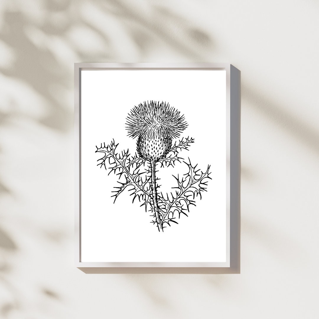 Black and White Scottish Thistle | Digital Download Print | Scottish ...