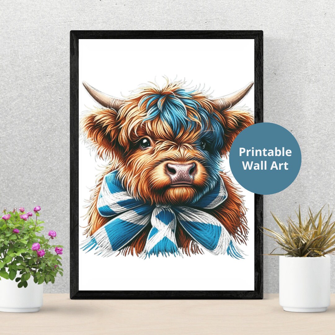 Chalk Art Highland Baby Cow With Scottish Flag Scarf - Downloadable ...