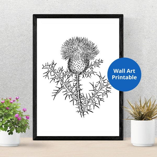 Black and White Thistle Wall Art - Etsy