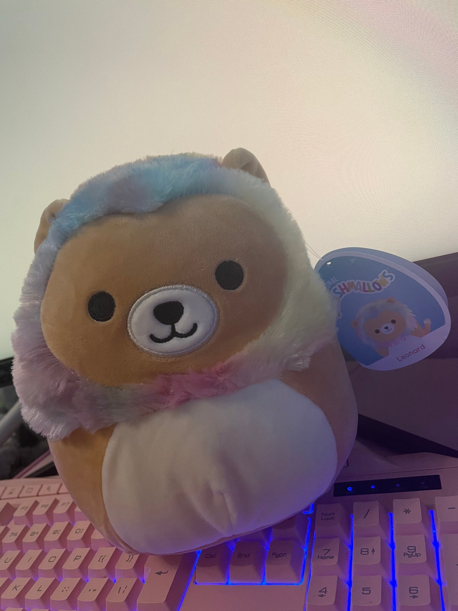 Leonard the Lion 8 Squishmallow | Etsy