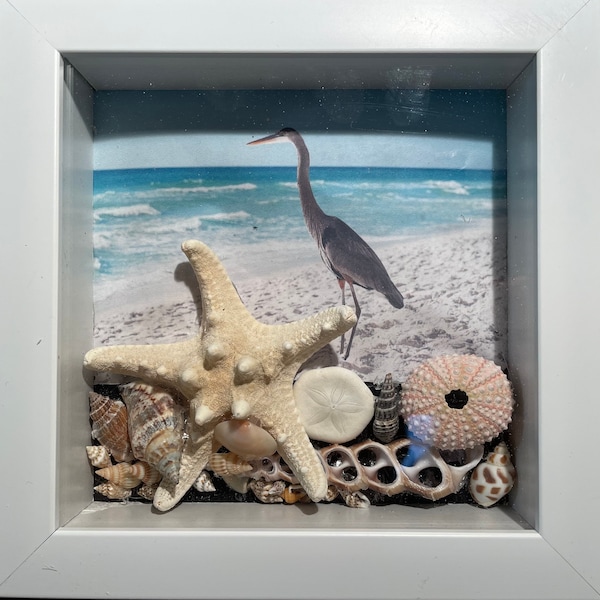Seashell Shadow Box - Etsy