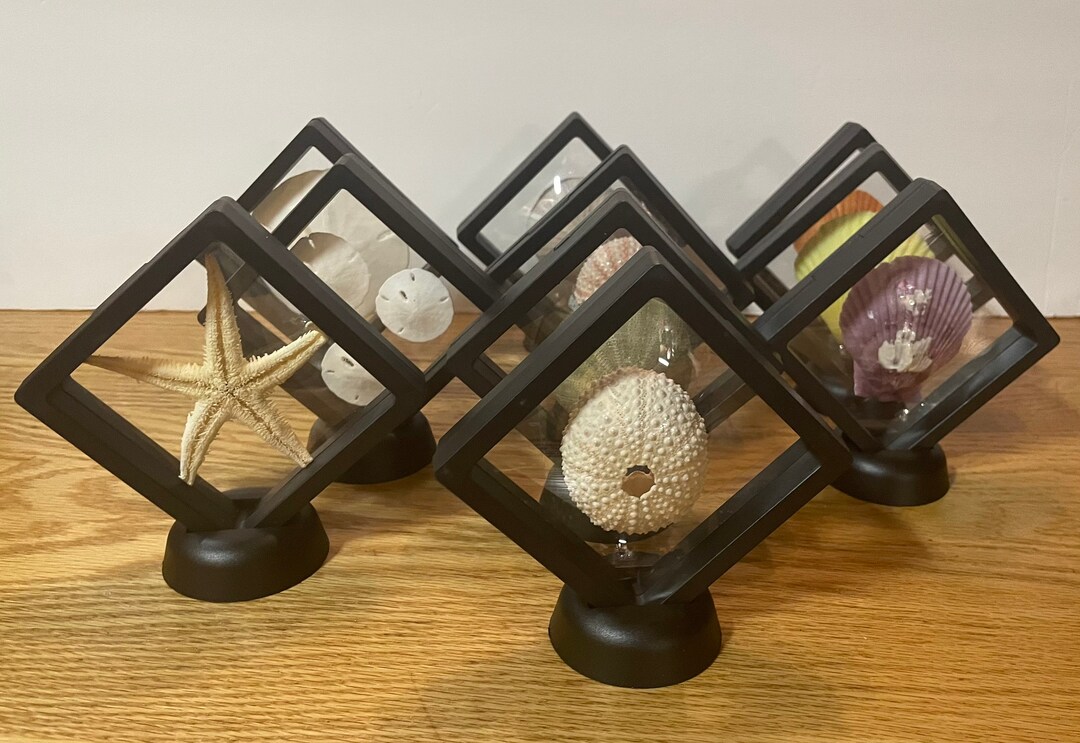 Floating Display - Etsy