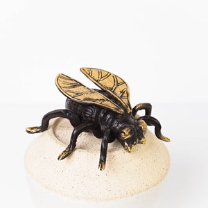 Bronze Beetle Figurine, 1.2" Animal Statue, Brass Decor, Animal ...