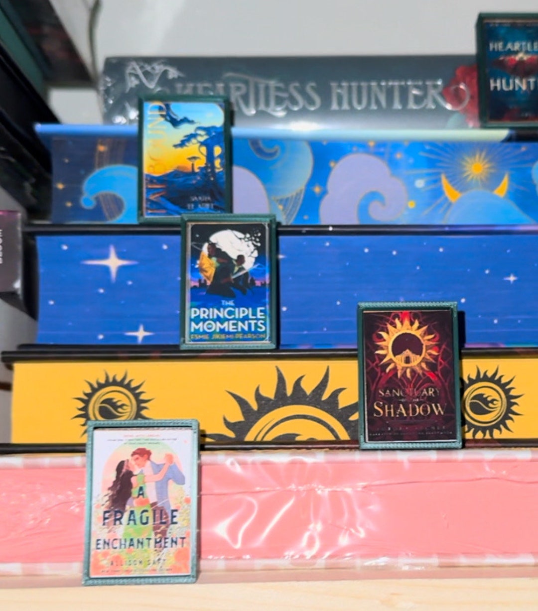 Miniature Special Edition Book Cover Display so You Never Forget Which ...
