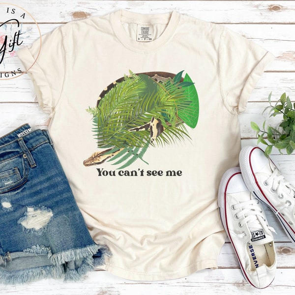 Hiding Ball Python - Etsy