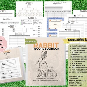 Rabbit Printable PDF Downloadable Record Keeping Manage - Etsy India
