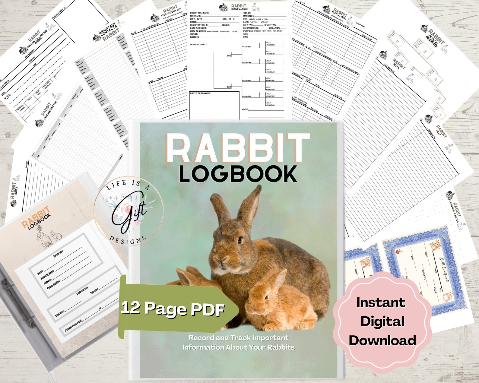 Rabbit Printable PDF Downloadable Record Keeping Manage - Etsy India