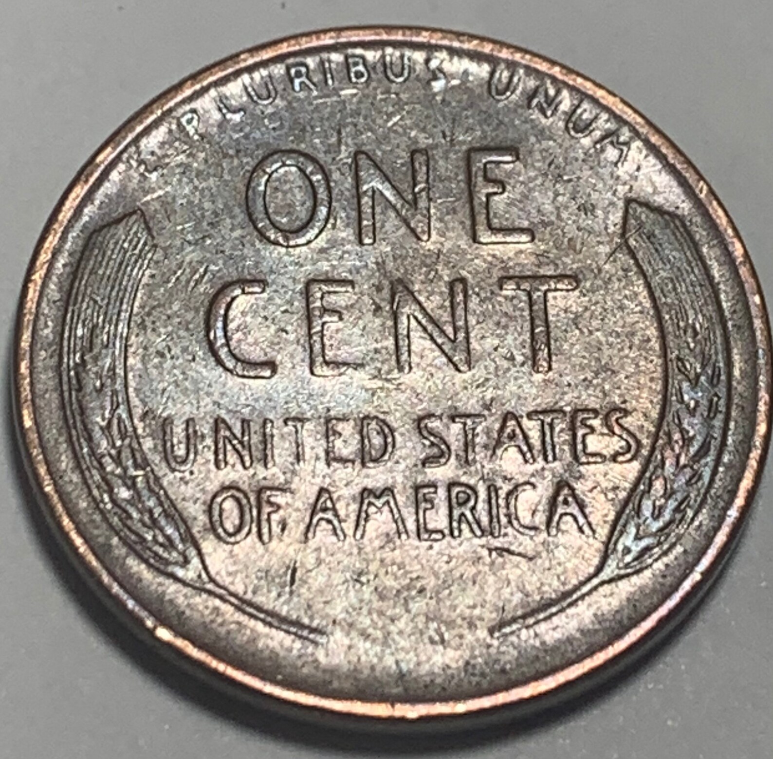 Rare 1955 D MULE die clash Wheat Penny DDO DDR | Etsy