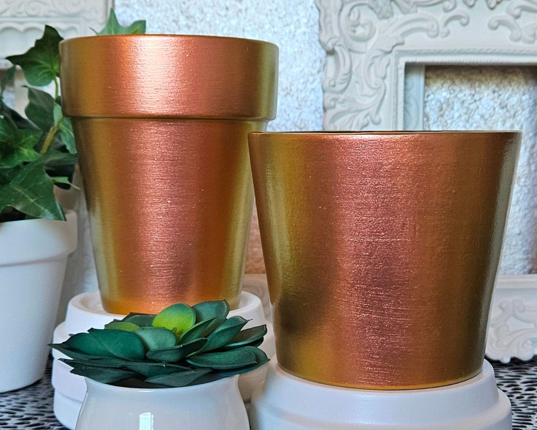 Color Shift Plant Pots, Gold, Silver, Copper, Rose Gold, Plant Lover ...