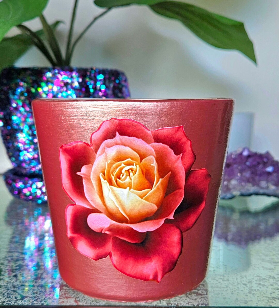 Rose Gold Plant Pot, Pink and Champagne Rose, Gifts for Her ...