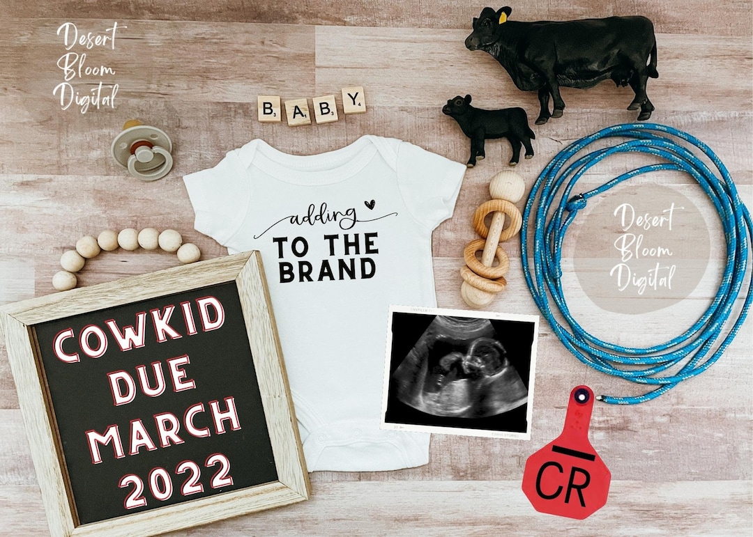 Angus Cow Calf Pregnancy Announcement: Custom Farm Baby (digital) - Etsy