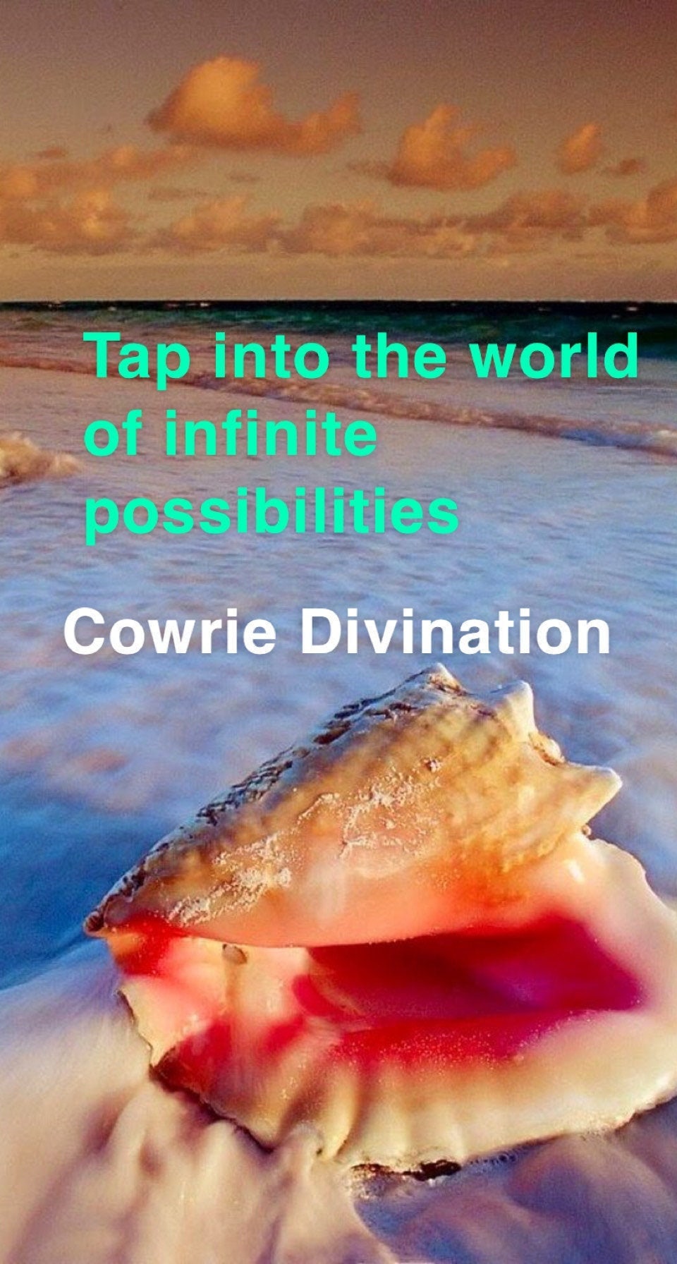 Cowrie Shell Divination 24hr Psychic Reading - Etsy UK