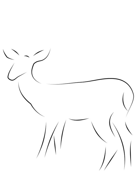 Doe Drawings