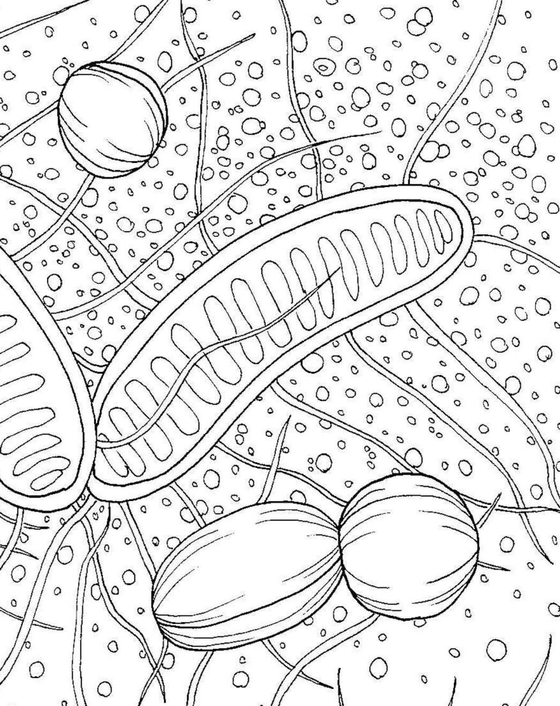 Bio-influenced Coloring Pages - Etsy