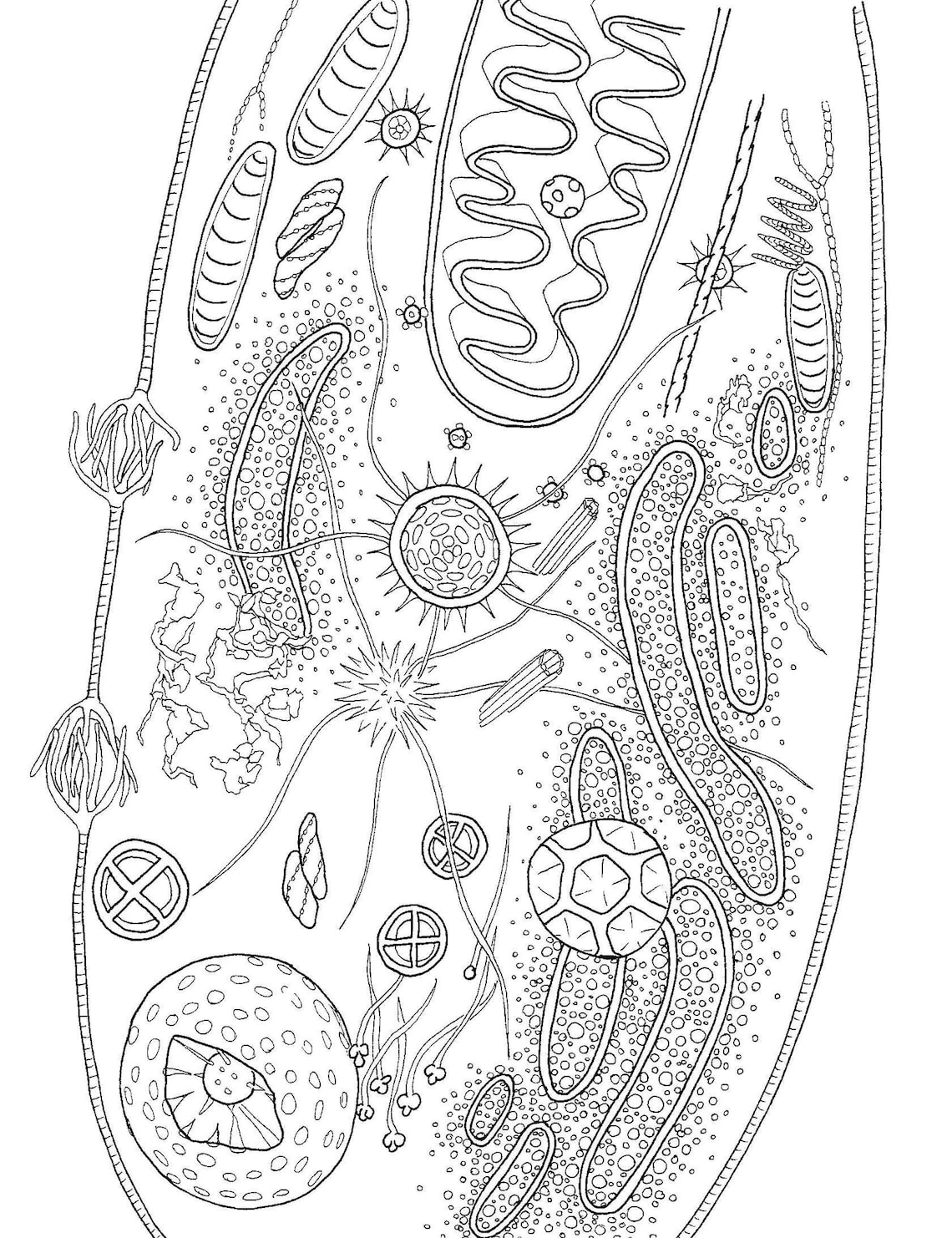 Bio-influenced Coloring Pages - Etsy
