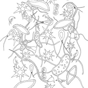 Bio-influenced Coloring Pages - Etsy