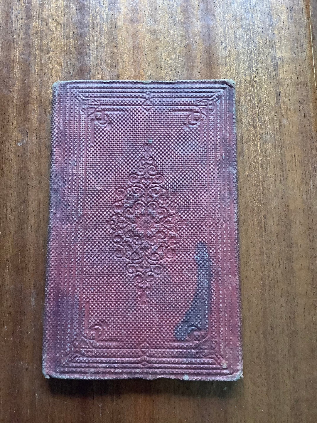 Antique Tortoise and the Robin-redbreast Book Published by the American ...