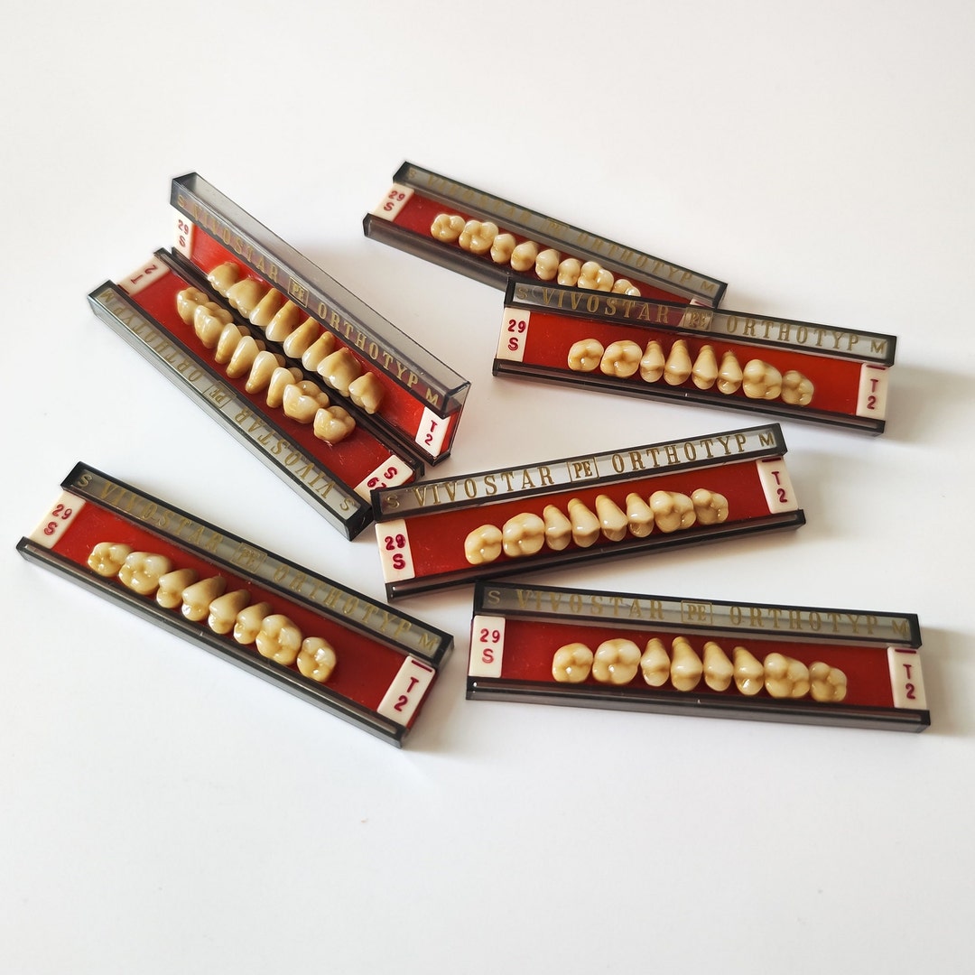 1 Pc - SUPER RARE OLD Dental Posteriores - False Teeth / Dental Crown ...