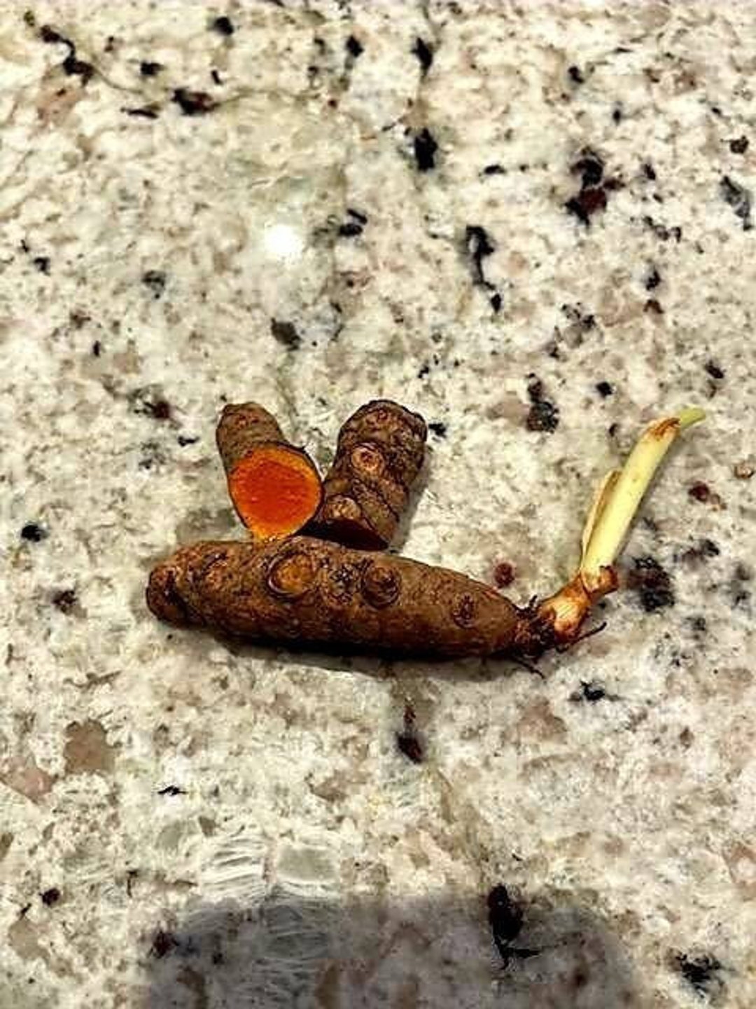 Red Hawaiian Turmeric (6) Rhizomes for Planting .... 50 Shades of Aloha ...