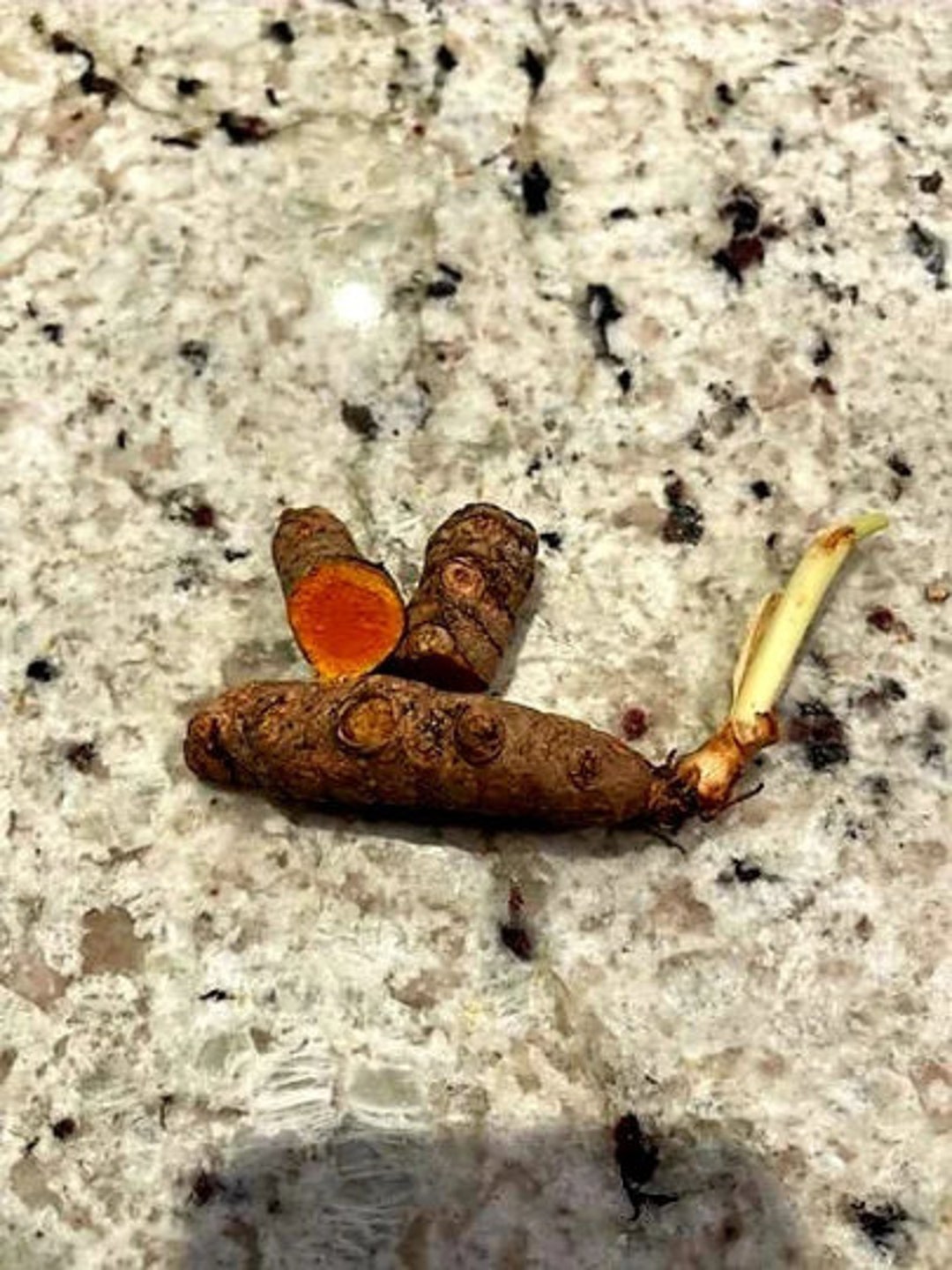 Bundle 3 Types Turmeric Deal Hawaiian Red Turmeric, Mango Turmeric and ...