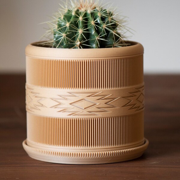 Cholla Planter - Etsy