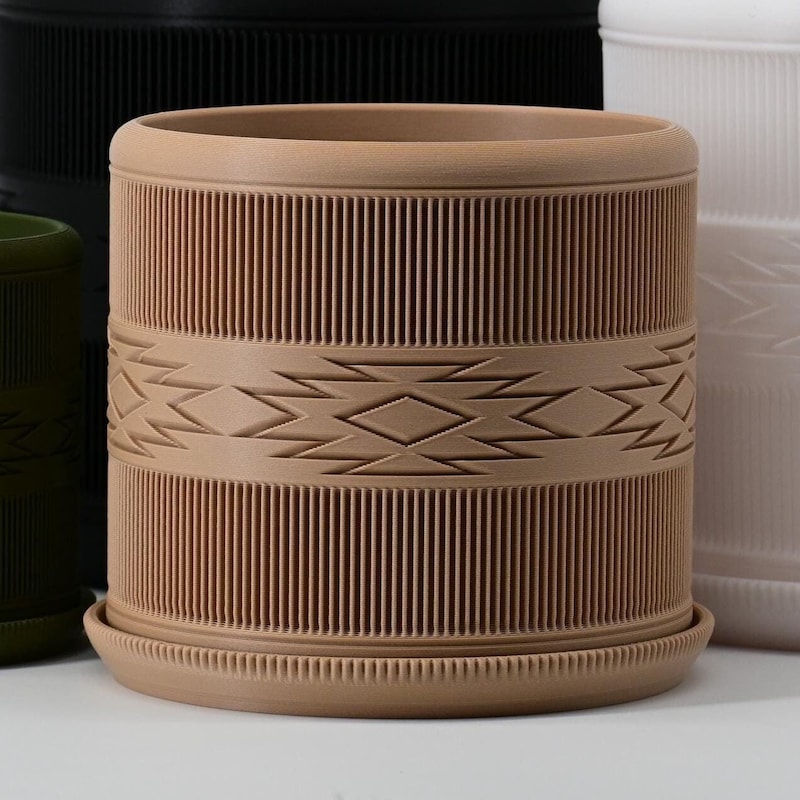 Cholla Planter - Etsy