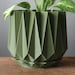 The Estrella Planter in Dark Green - Drainage Hole and Tray - Modern ...