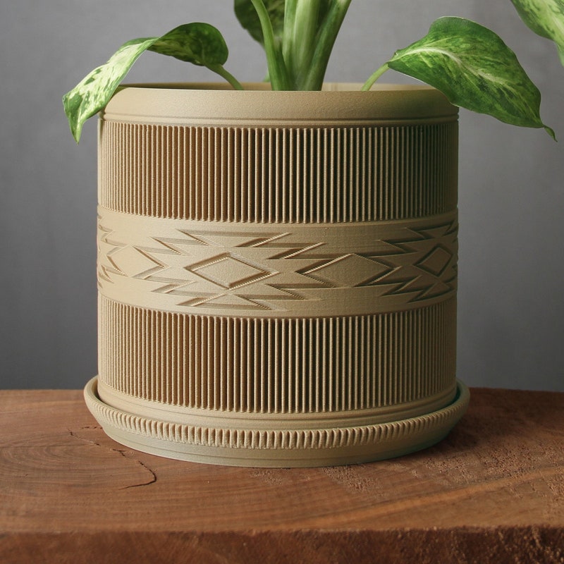 Cholla Planter - Etsy