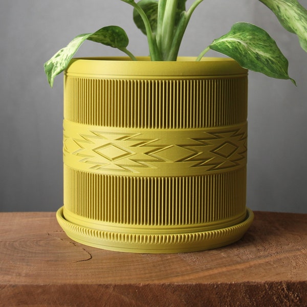 Cholla Planter - Etsy